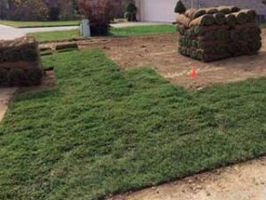 Sod Installation | Toby's Lawn & Landscape